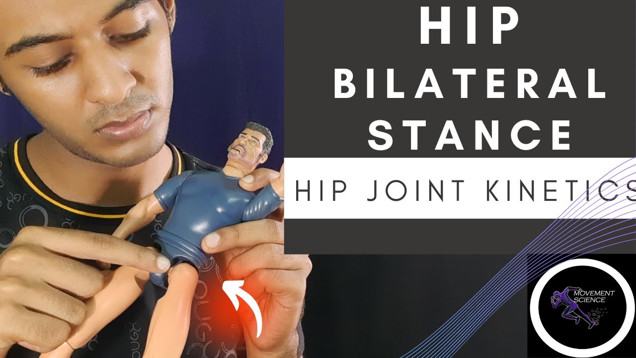 HIP JOINT BILATERAL STANCE (HIP COMPLEX BIOMECHANICS)Physiotherapy ...