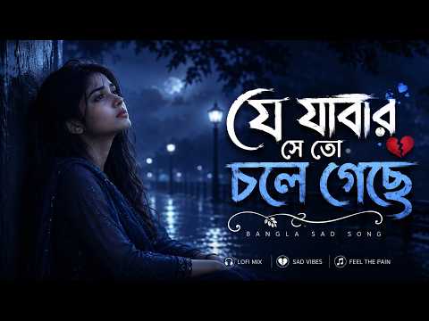 যে যাওয়ার সে তো চলে গেছে | Je Jawar Se To Chole Geche | Bengali New Lofi Song