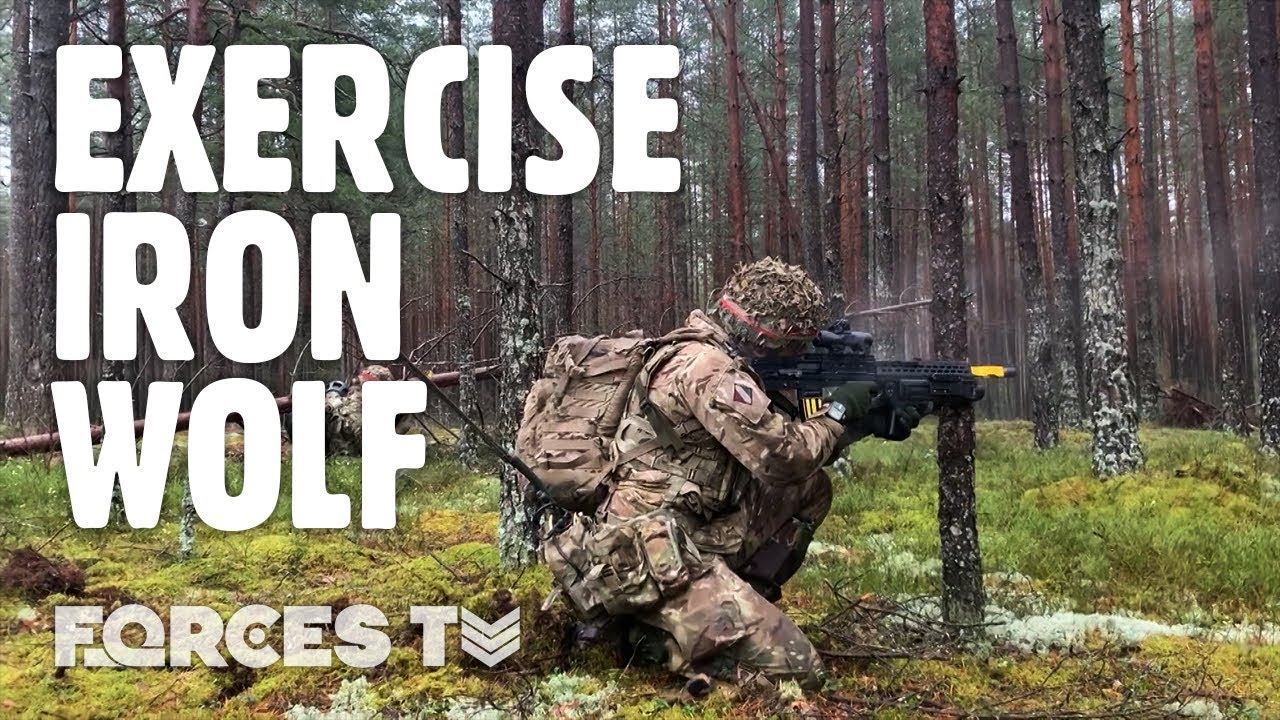 Iron Wolf: British Army Reservists Join Lithuania's Largest Military ...
