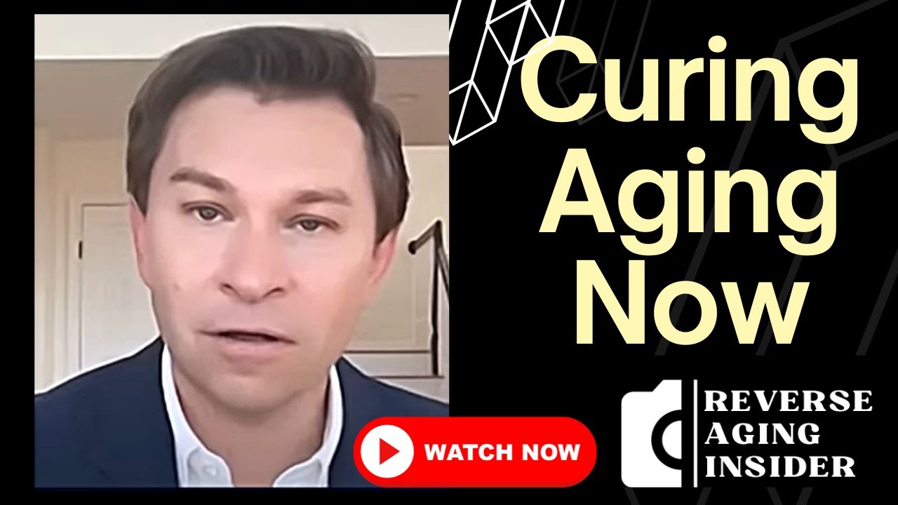 Longevity Expert Dr David Sinclair Explains This Is How We Can Cure ...