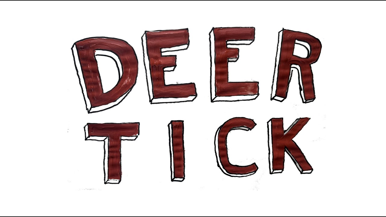 Deer Tick - Light Up Reindeer - YouTube