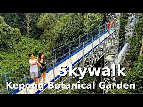 Skywalk at Kepong Botanical Garden - Latest attraction (2020) - YouTube