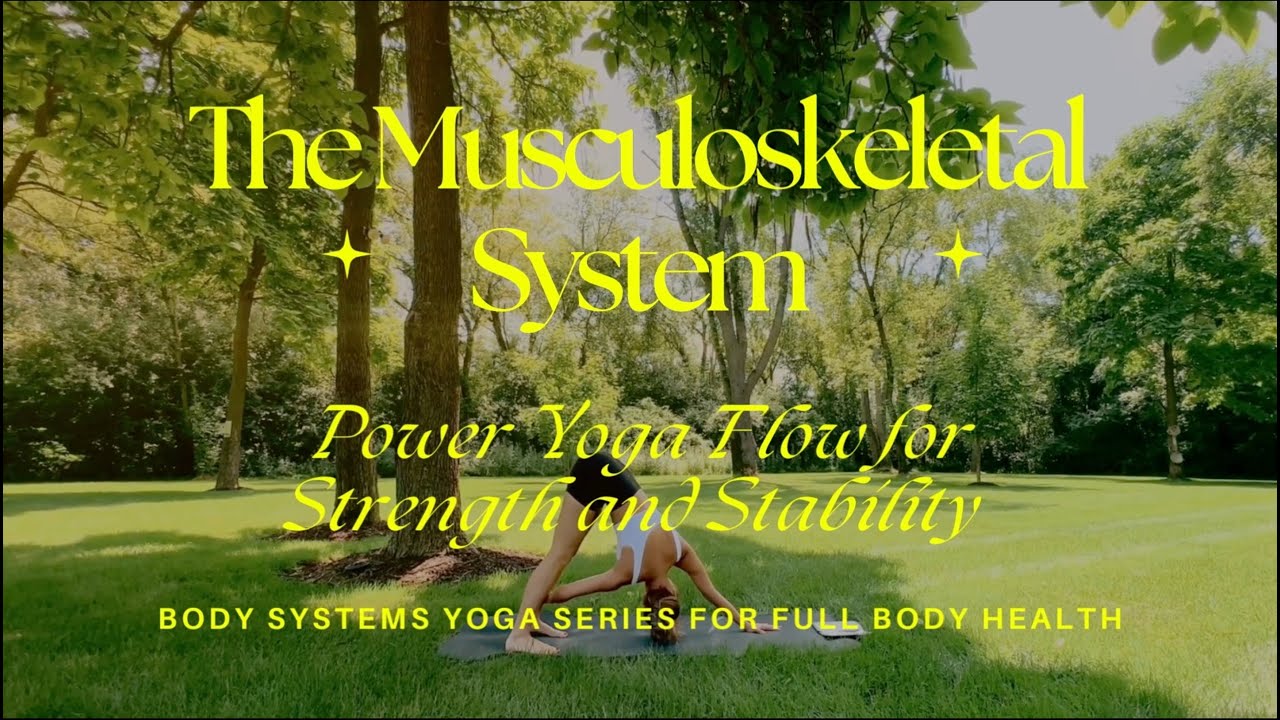 #1 MUSCULOSKELETAL SYSTEM: Power Yoga Flow for Strength and Stability ...