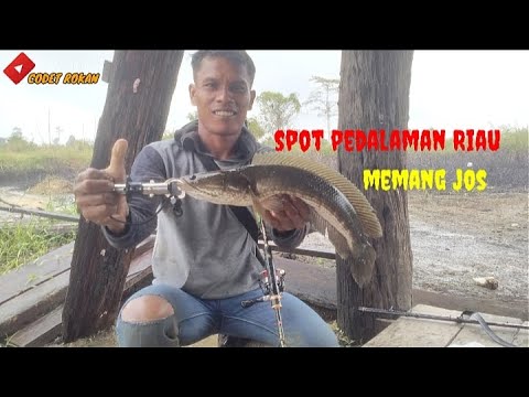 MENCARI SPOT,,,!! PEDALAMAN RIAU, PUNYA CERITA, - YouTube