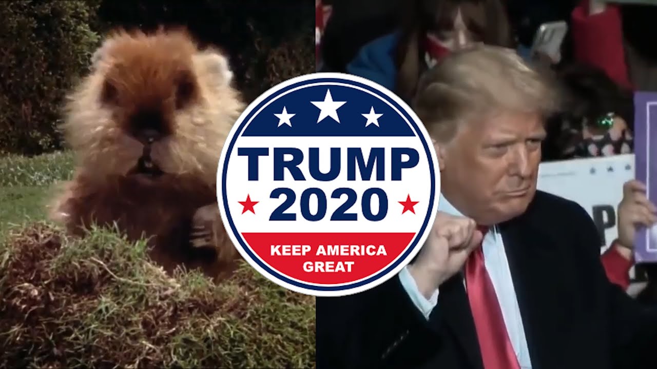 Decision 2020: TRUMP vs GOPHER - YouTube