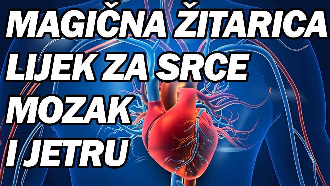 SUPER ZRNO - NAJBOLJI LIJEK ZA SRCE I MOZAK! Dr Mihajlović - YouTube
