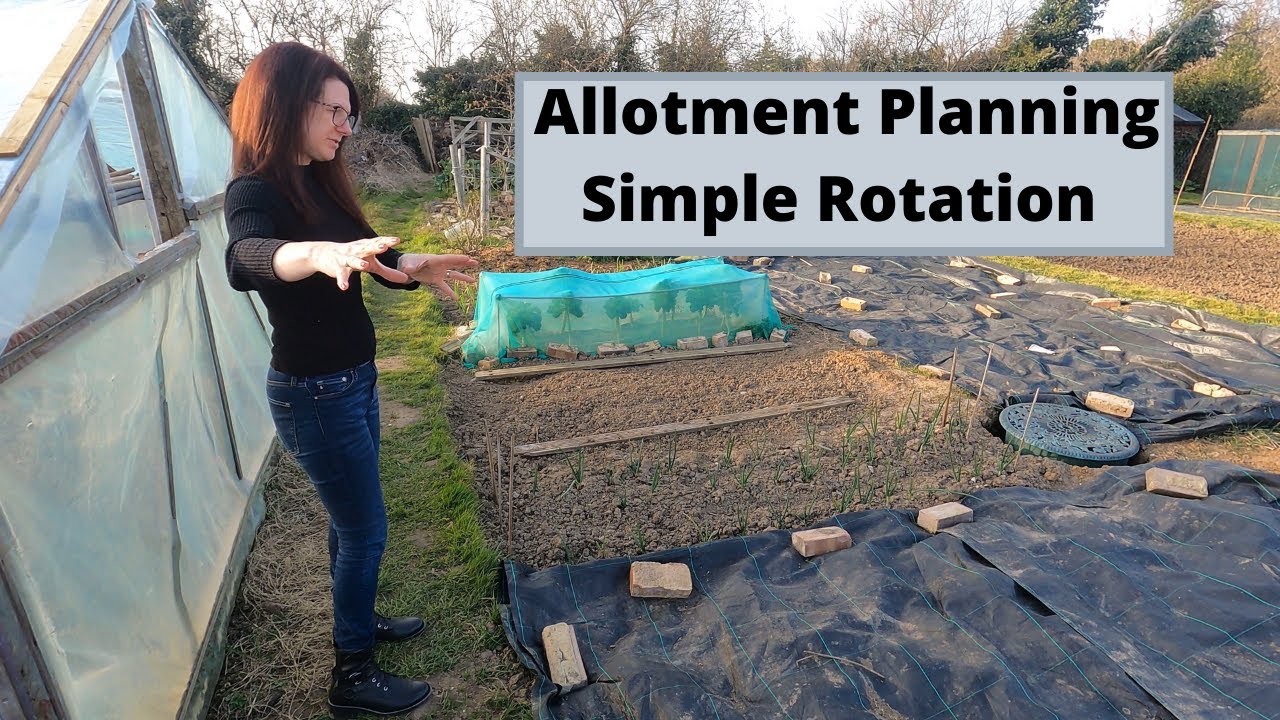Allotment Planning - Simple Crop Rotation For Beginners - YouTube