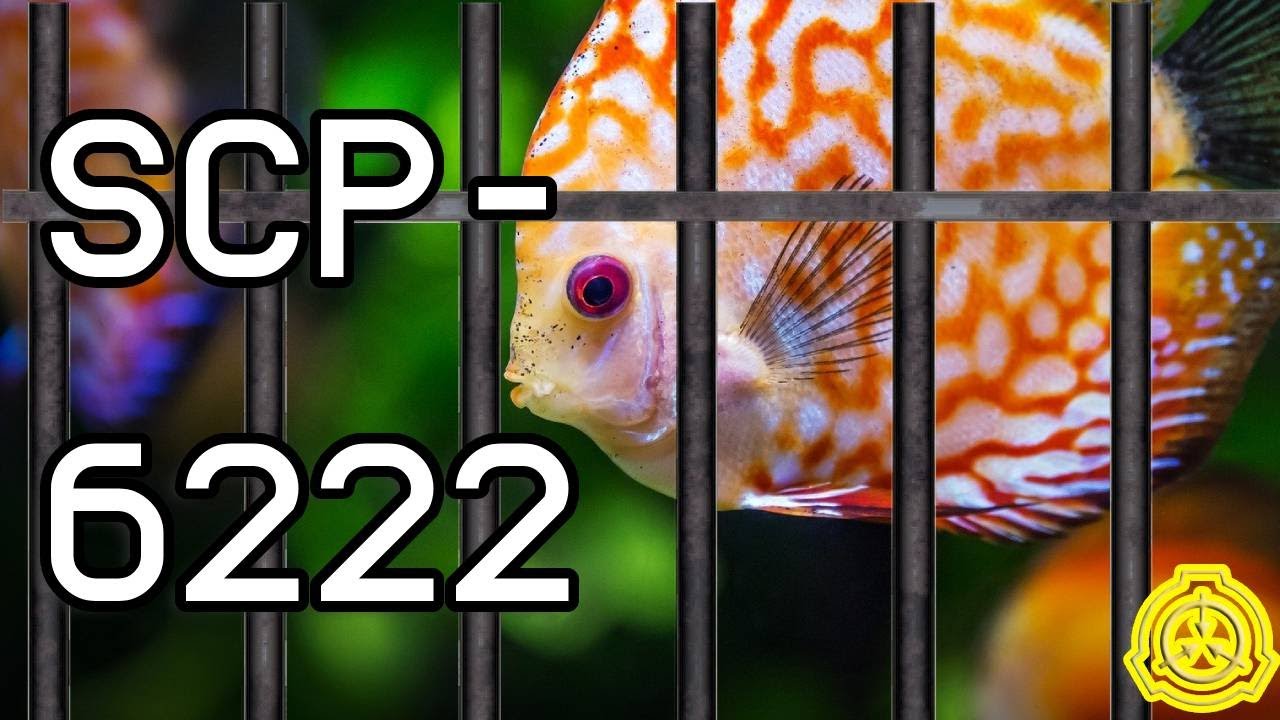 SCP-6222 | FISH PRISON | Fish That Do Crimes - YouTube