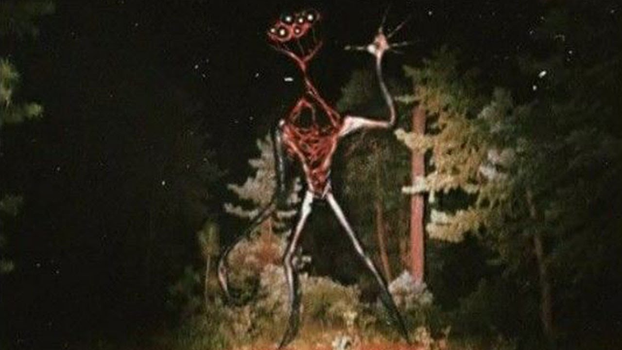 Top 5 Disturbing Cryptids Scarier Than Skinwalkers - YouTube