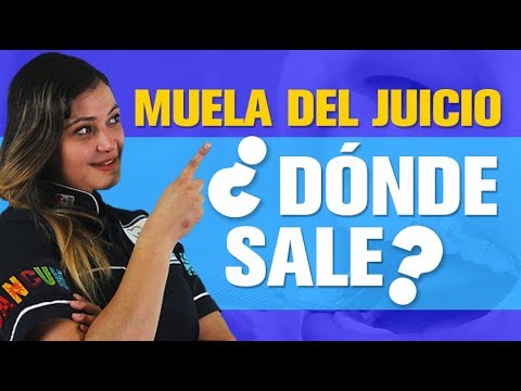 🦷🦷🦷 ¿En dónde sale la muela del juicio? 🦷🦷🦷