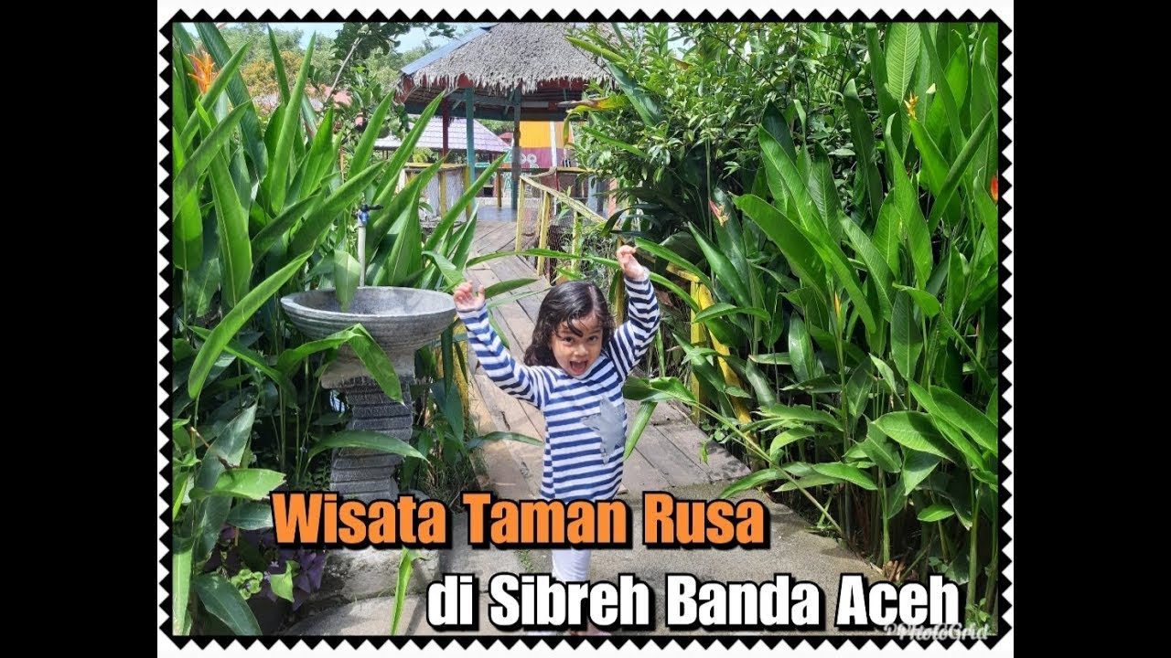 Wisata Taman Rusa di Sibreh Banda Aceh | Kebun Binatang Banda Aceh ...