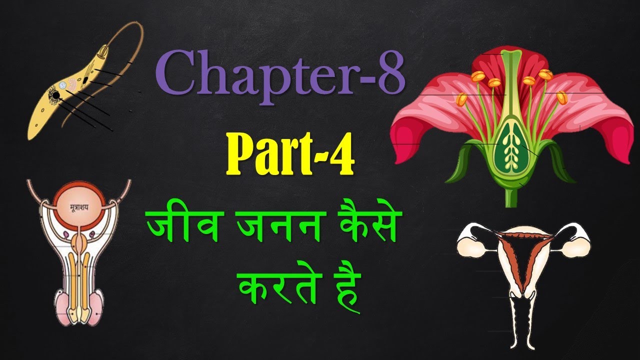 Class 10 |Chapter 8 | Part-4 | Biology | जीव जनन कैसे करते है| - YouTube