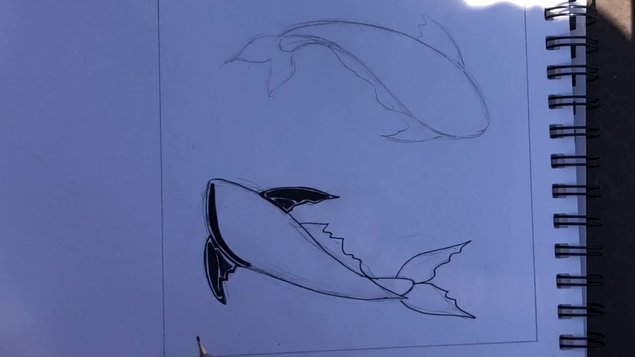 Op Art Hidden Fish - YouTube
