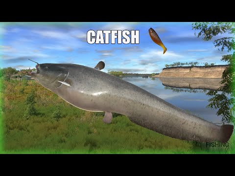 Russian Fishing 4 RF4 Akhtuba River Catfish - YouTube