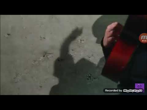 Sirinin fehle mahnisi