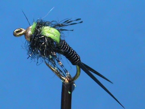 Beginner Fly Tying a Black Steelhead Stonefly with Jim Misiura - YouTube