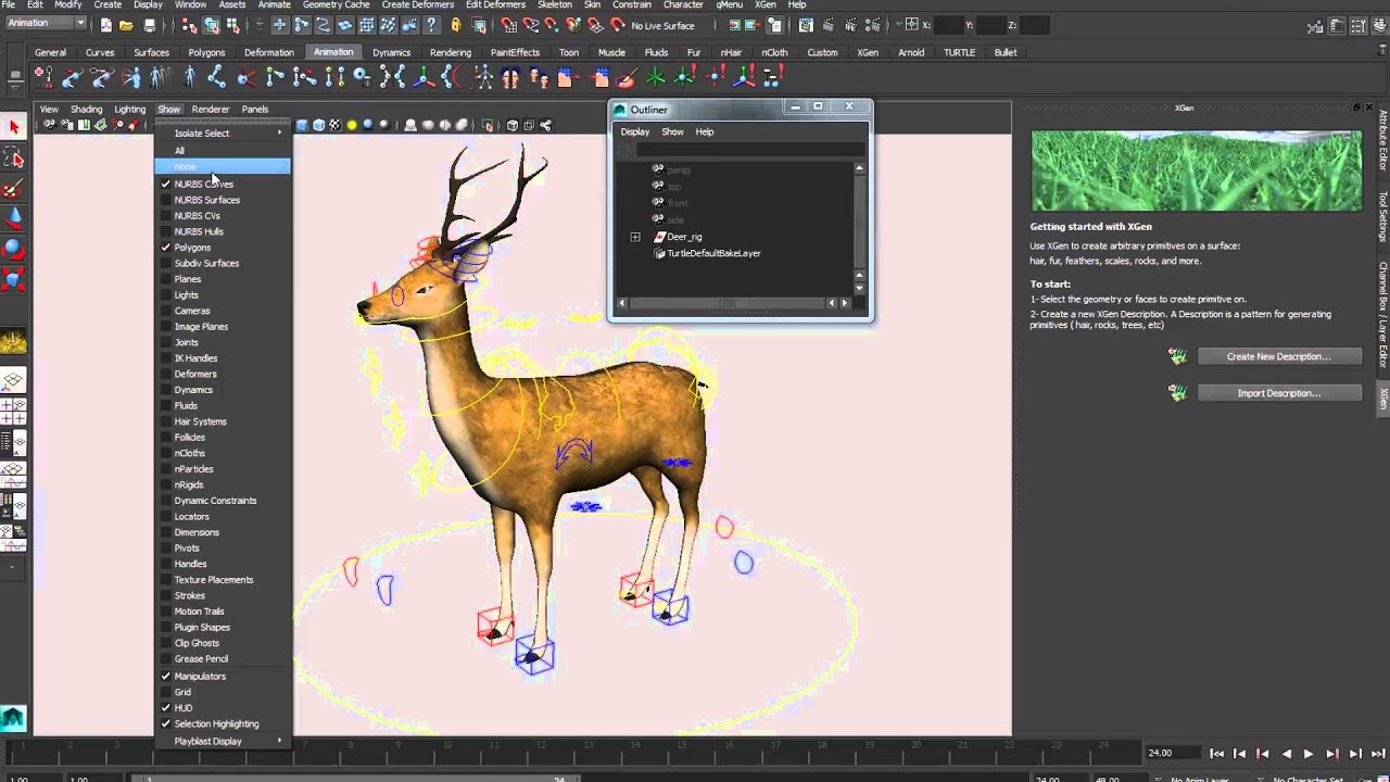 Export Import Xgen decription groom - YouTube