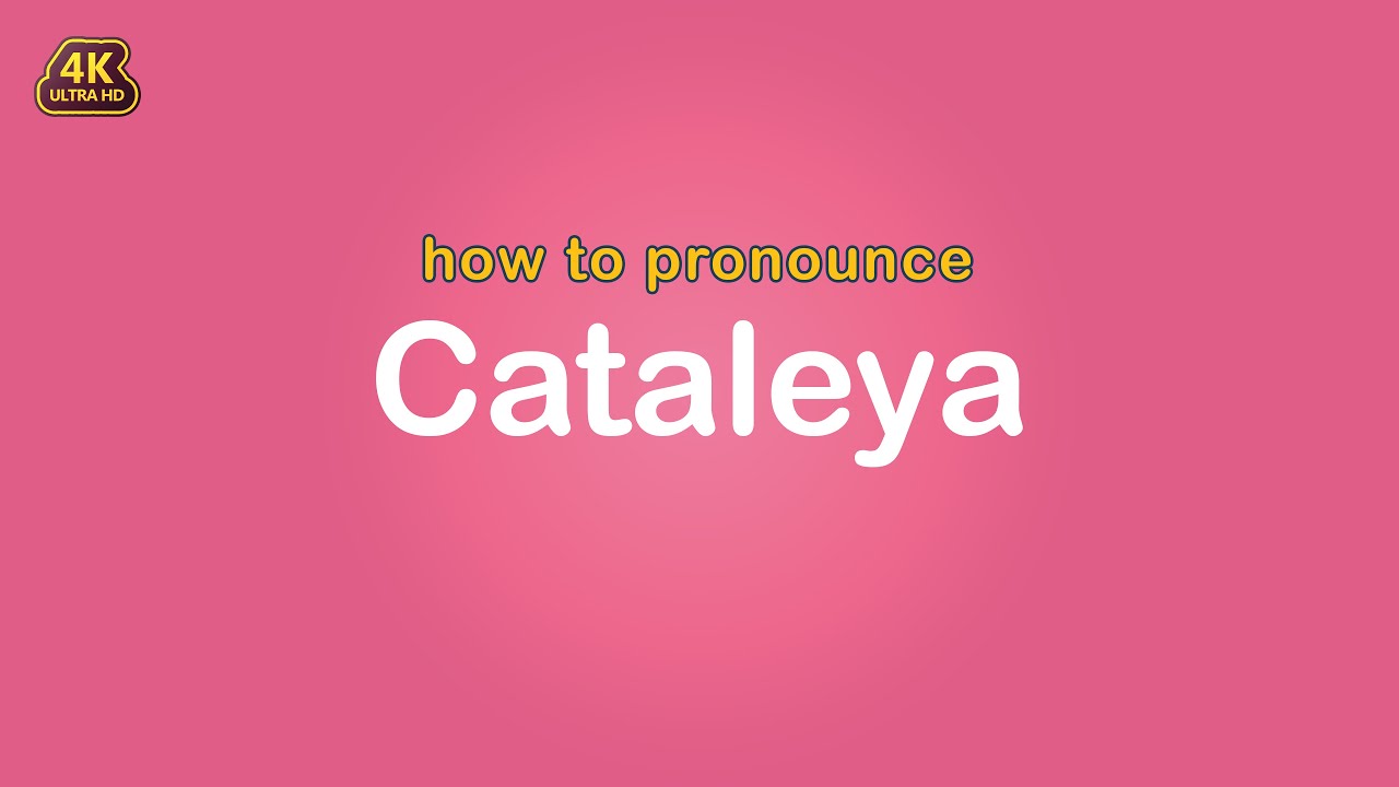 how to pronounce Cataleya 【Name】 - YouTube