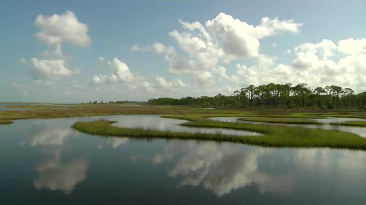 Marshes by the Mainland and Marsh Islands: Why the Difference Matter ...