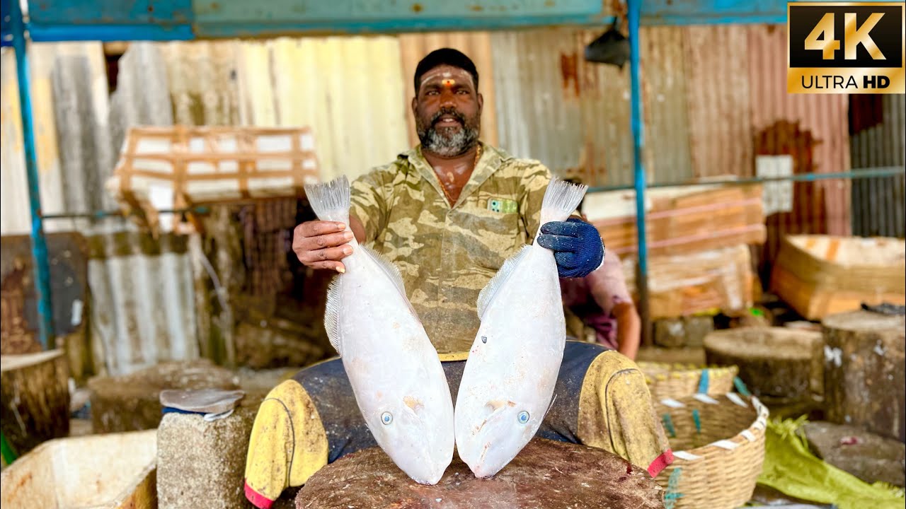 Seruppu meen Cutting video/fishcuttingrs#fishcuttingrs #kasimedu #fish ...