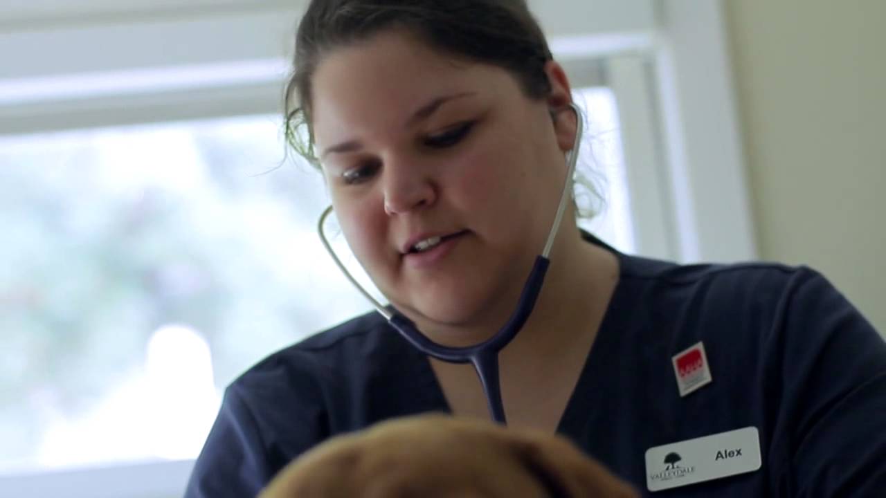 UAB Career & Professional Development - Light Bulb Moment - YouTube