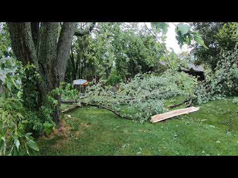 Severe Wind Damage In New Lenox, IL | Derecho & 80+ mph winds. - YouTube