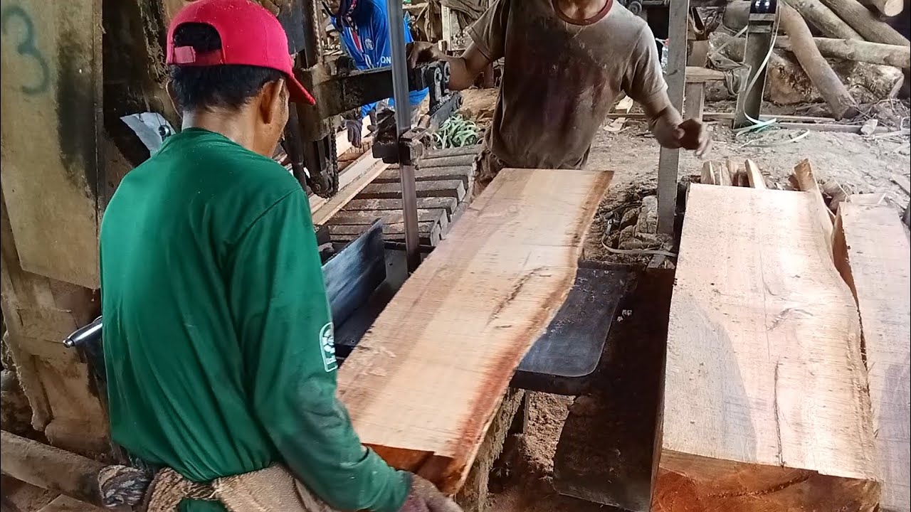 Kulit kayu nya satu inci bikin mata gergaji cepat tumpul - YouTube