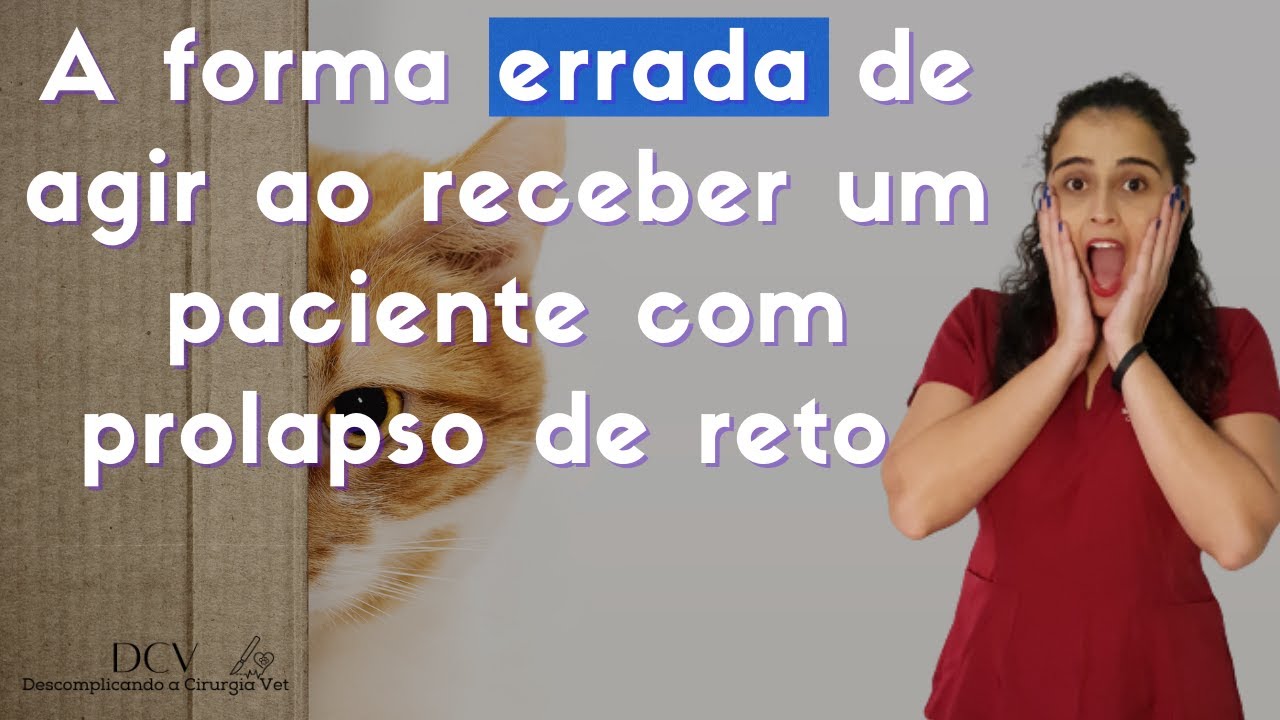 Vet, JAMAIS faça isso quando atender um PROLAPSO DE RETO - YouTube