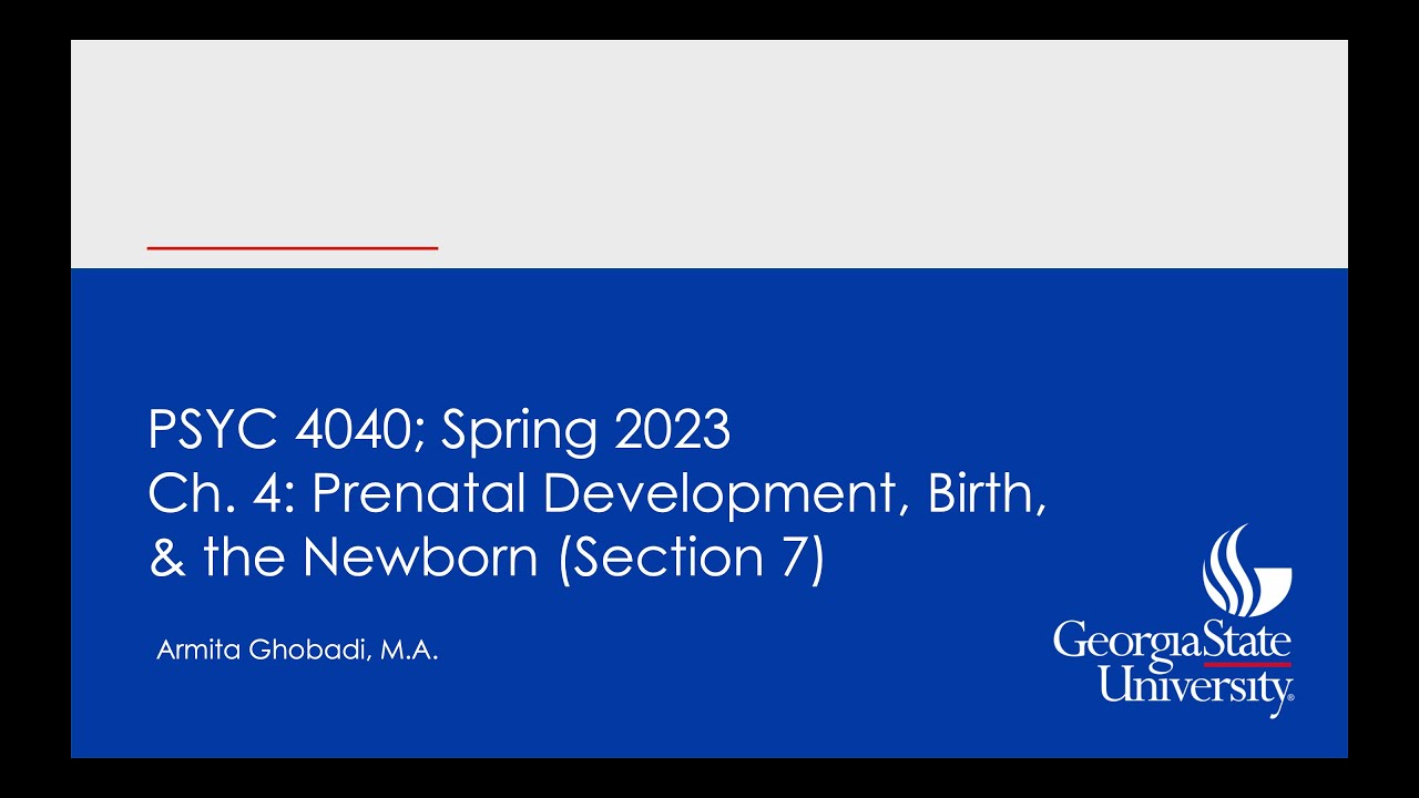 Chapter Four--Section Seven! - YouTube