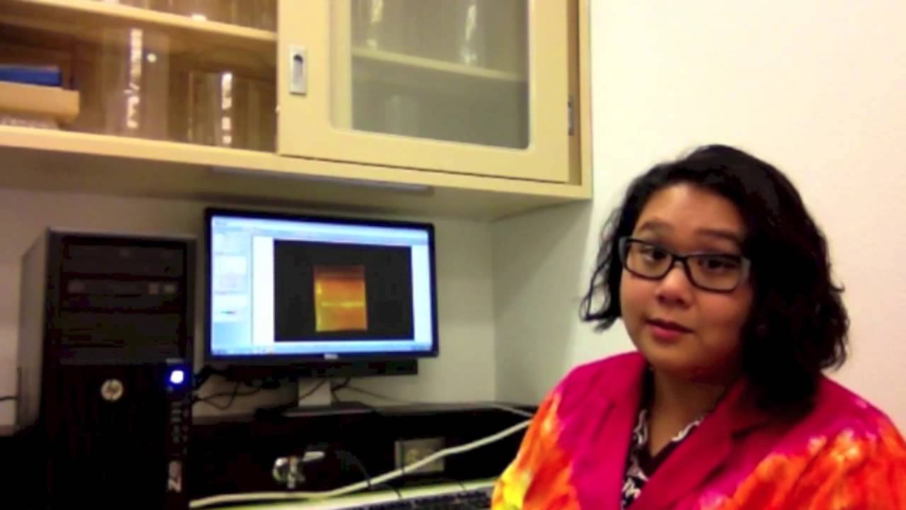 Analyzing and Understanding Your Data with Rima Lucardi USDA Forest ...