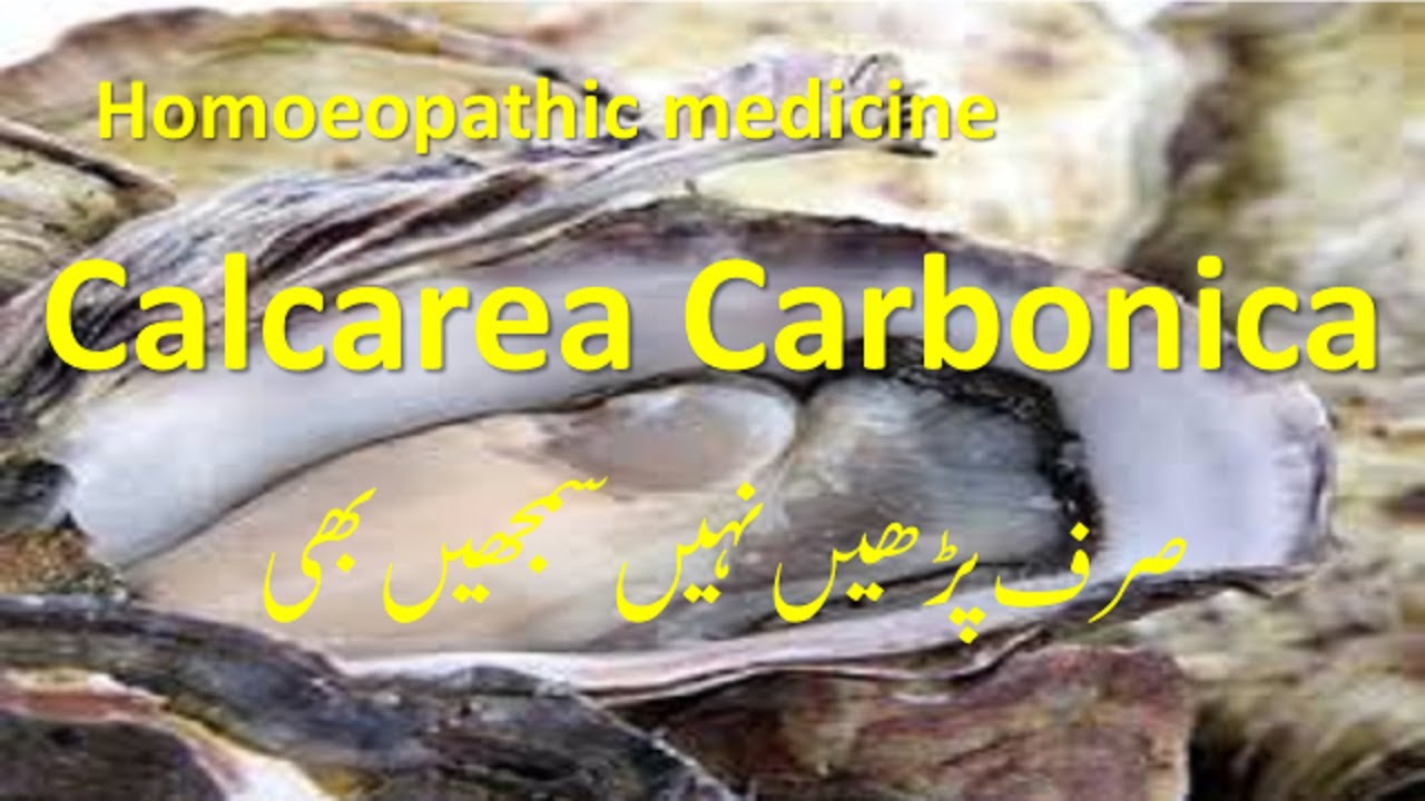Calcarea Carb for Growth Issues | Homeopathic Constitutional Remedy ...