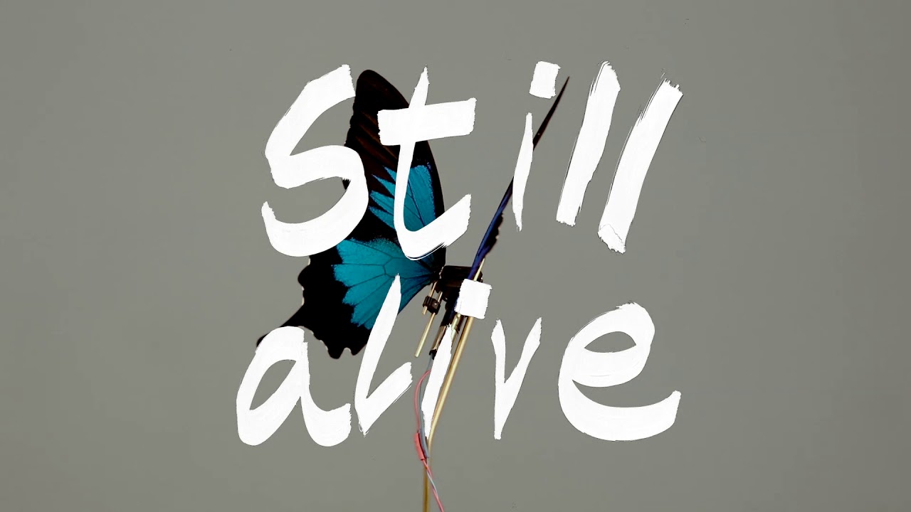 'Still alive' - YouTube