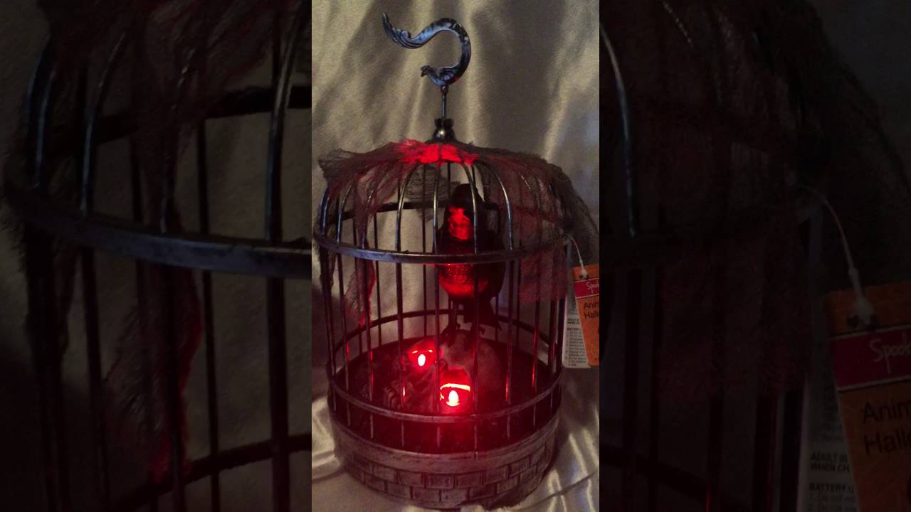 GEMMY TALKING ANIMATED RAVEN CROW IN CAGE - YouTube