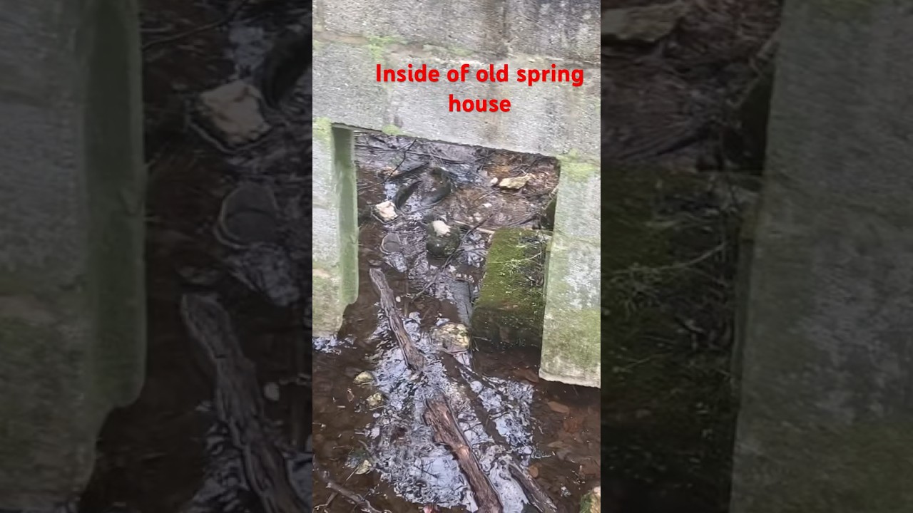 Inside of old spring house @dayhikingandherpingdudes - YouTube