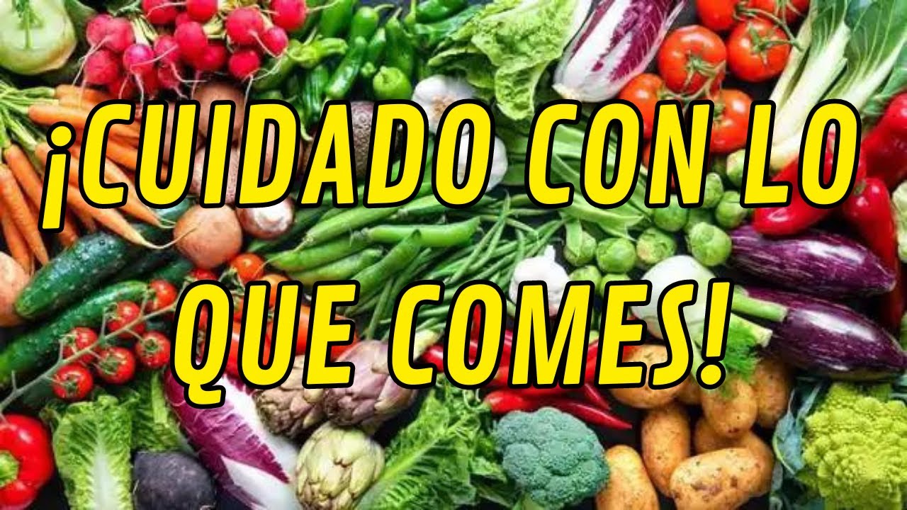 ¡CREA LA MEJOR DIETA CON DIETA FIT! - YouTube