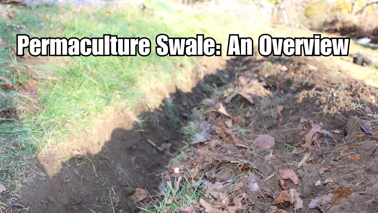 Permaculture basics EP. 1: What is a Swale? - YouTube