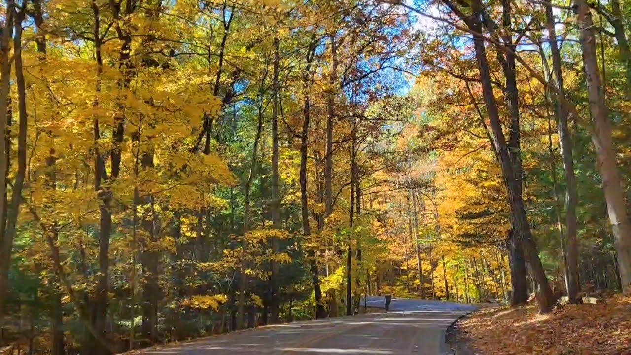 Autumn in Small Town America.(Best Fall Foliage) Oct. 26, 2024 - YouTube