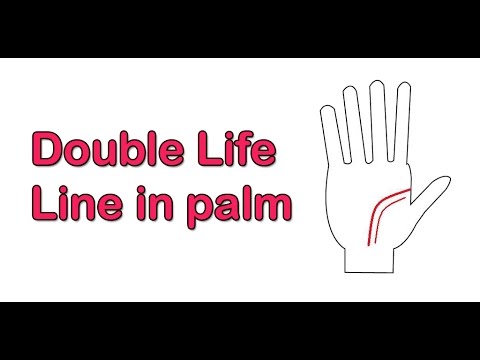 Double Life Line in palm | Palmistry in hindi | LIFE LINE PALMISTRY ...