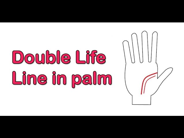 Life Line Palm Reading Meaning Life Line In Your Hand : Beginner's