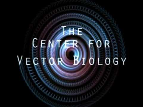 Introduction for the Center of Vector Biology of Rutgers University ...