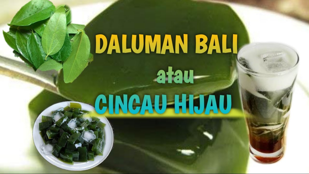 Daluman Bali atau Cincau Hijau - YouTube