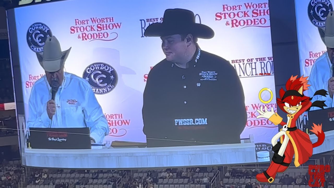 Venice the mink(prototype Silver) reacts to the rodeo - YouTube