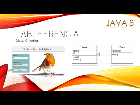 Ejercicio de Herencia con Interfaz gráfica utilizando Java 8 parte 1 - YouTube
