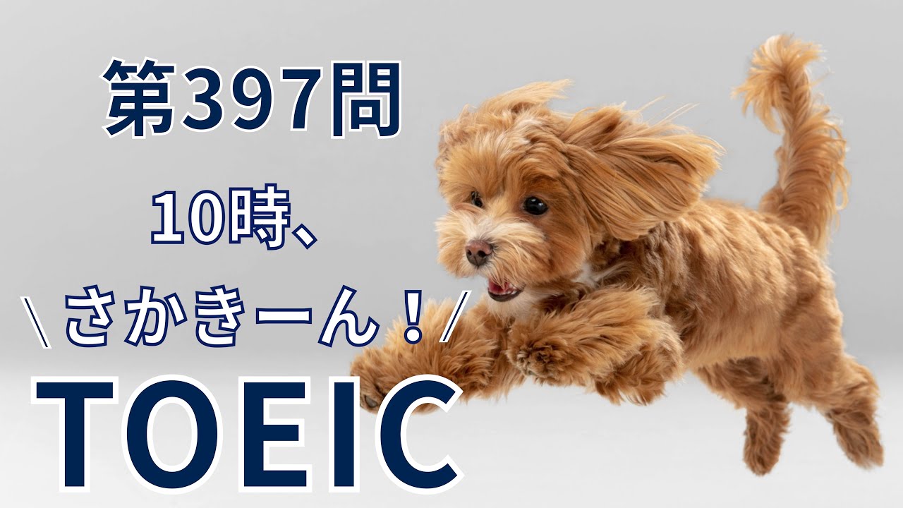 【TOEIC対策】「見る1000」第397問 ☞ 経営者は 。関係詞の判別問題。〔①単語→②文法→③音読〕でPart5を完全攻略。 - YouTube