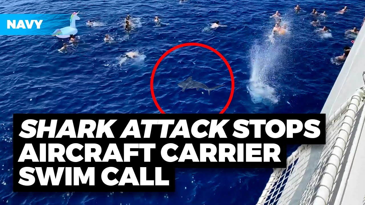 Aircraft Carrier Swim Call Interrupted by SHARK ATTACK - YouTube