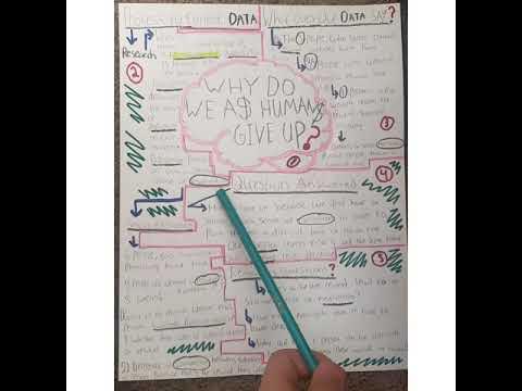 See think wonder final project - YouTube