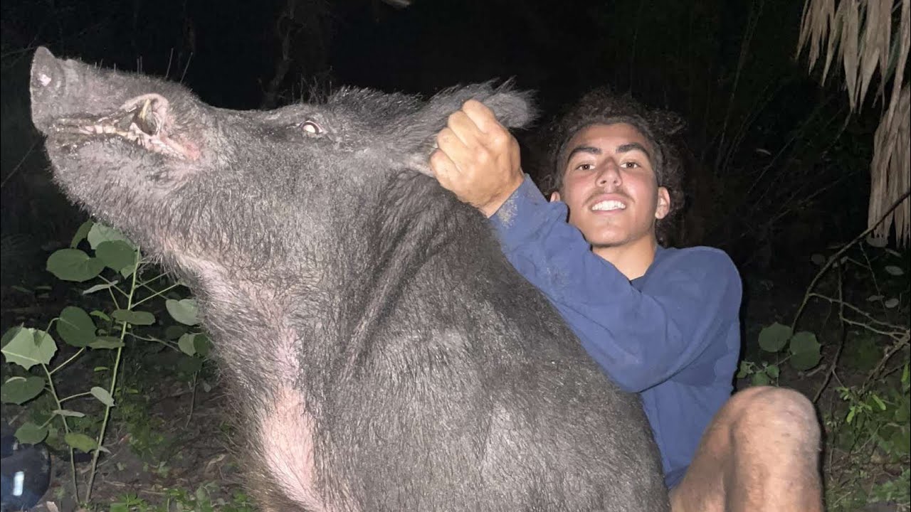 Hog Hunting With Dogs in Florida!! - YouTube