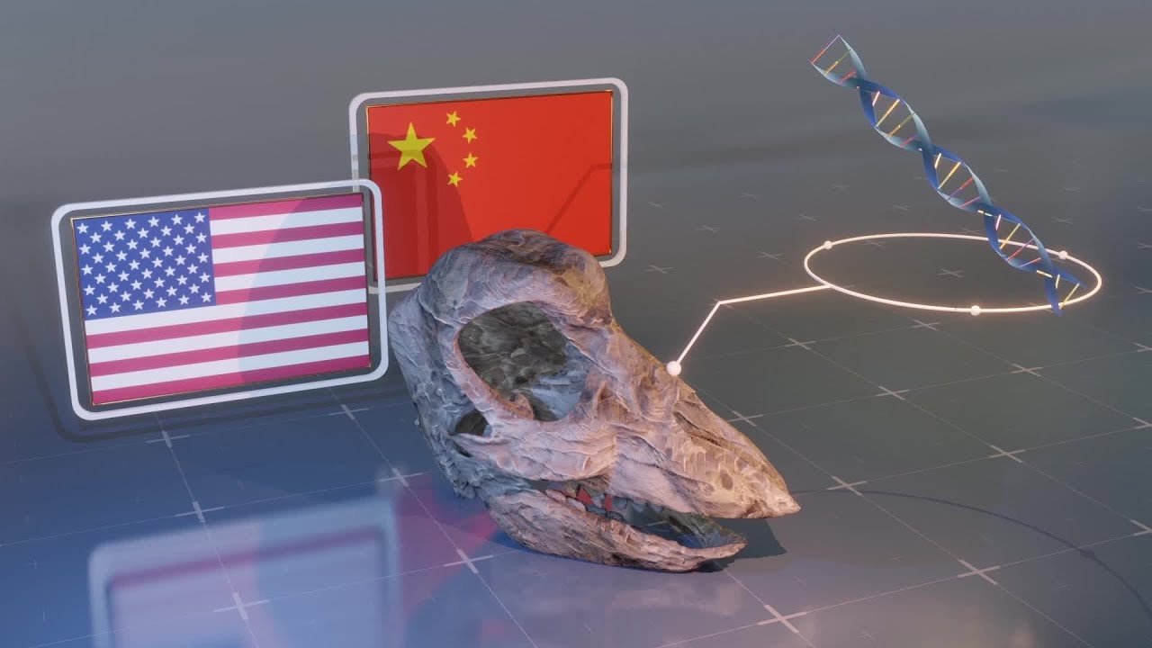 DNA discovered in 75 million-year-old dinosaur fossils - YouTube