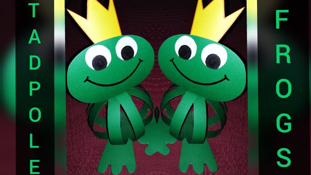 Funny Tadpole Frogs 🐸🐸 - YouTube
