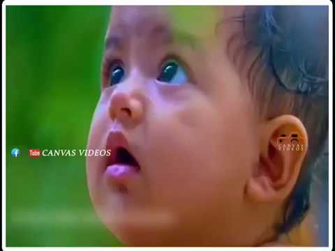 New Malayalam Whatsapp Status 💘💘 | Malayalam Cute baby Song Status 💘 | Parukutty Whatsapp Status